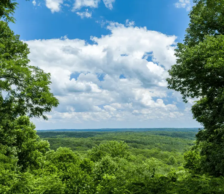 Brown County State Park Trails | A Local's Complete Guide